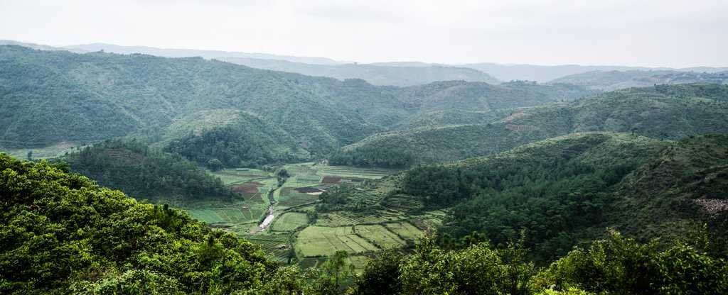 Meghalaya’s Mawphlang Sacred Forest & the Secrets Behind it ...