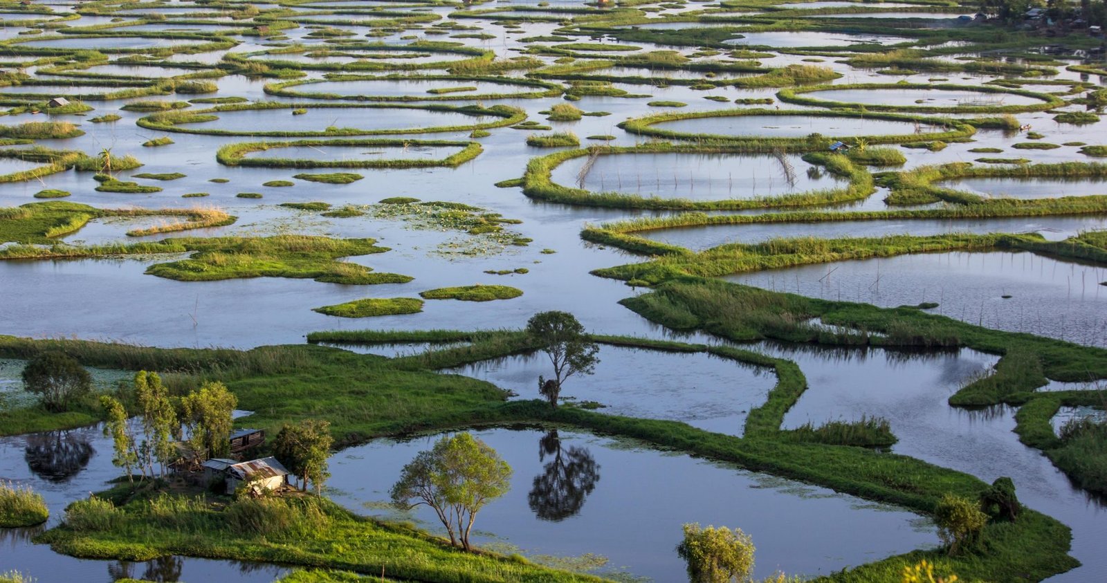 Keibul Lamjao National Park - The World’s Only Floating National Park ...